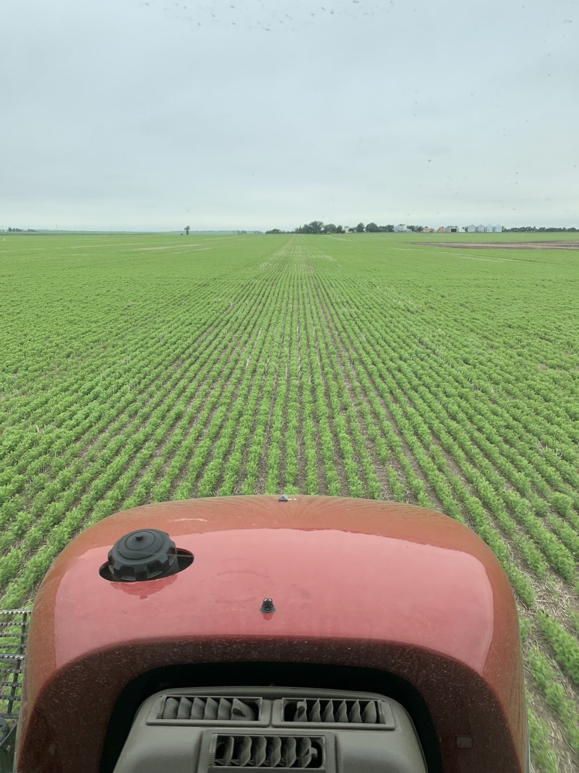 Evolution Genetics, LLC – Seed for your Future